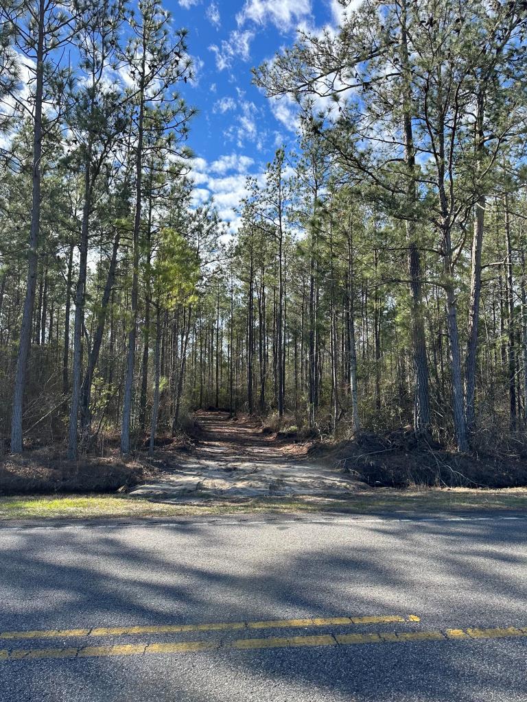 10 +/- acres for sale in Horry County SC