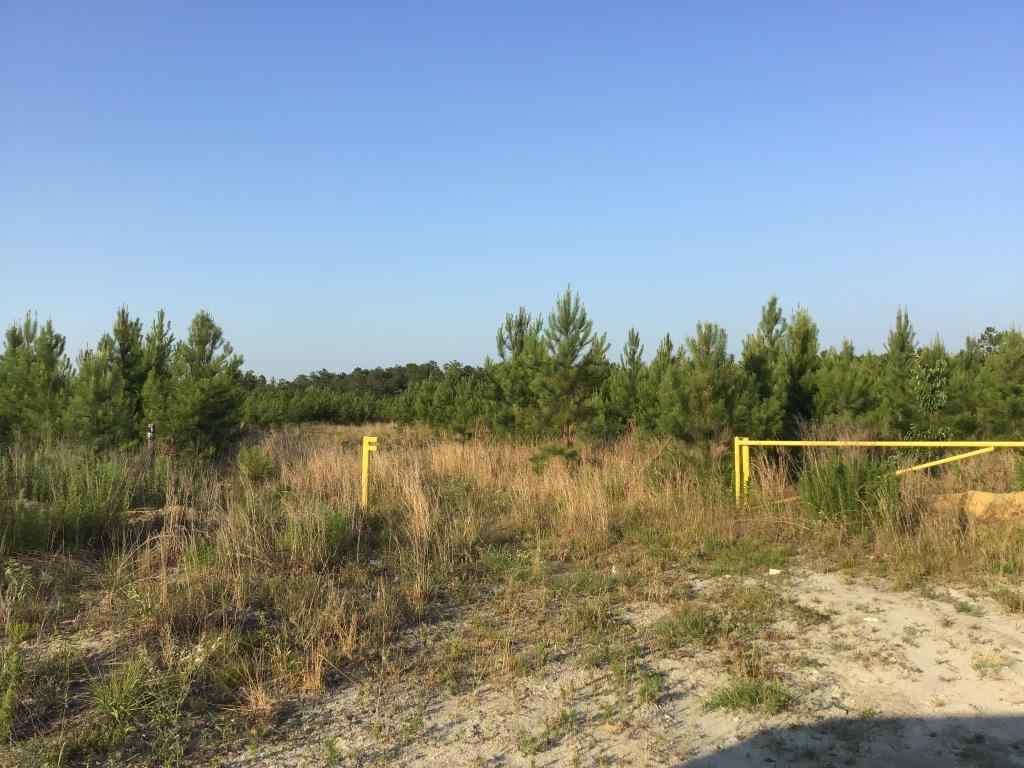 Coastal land for sale Horry County | Advance Land and Timber