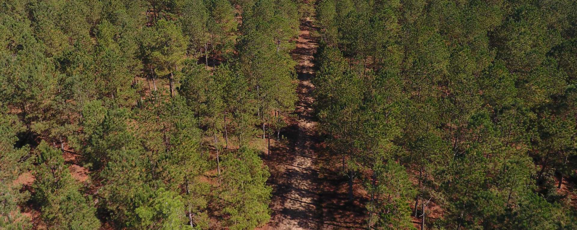 Advance Land and Timber - Experts in Farm Land for Sale Southeast, SC.